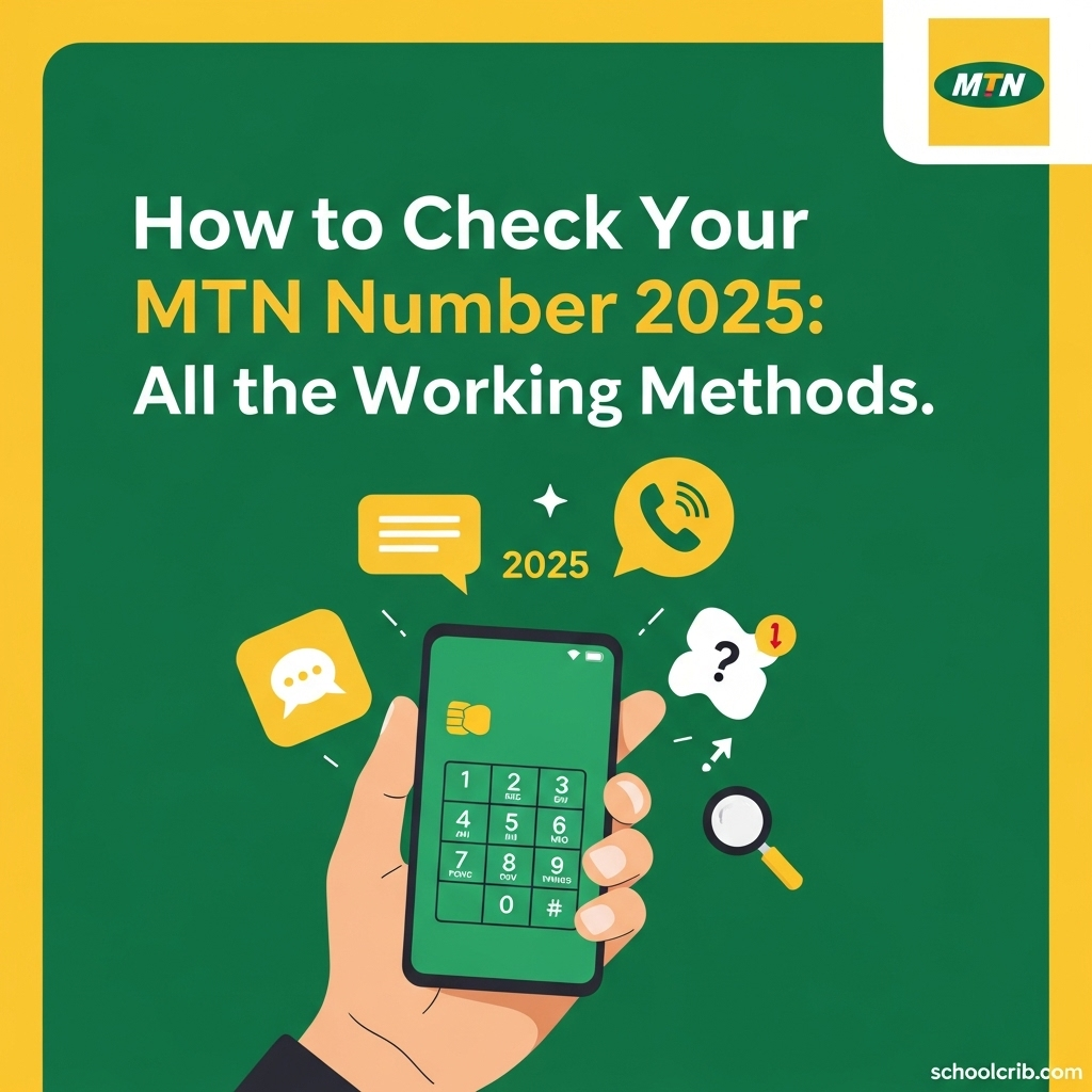 How to Check Your MTN Number 2025: All the Working Methods. - Schoolcrib